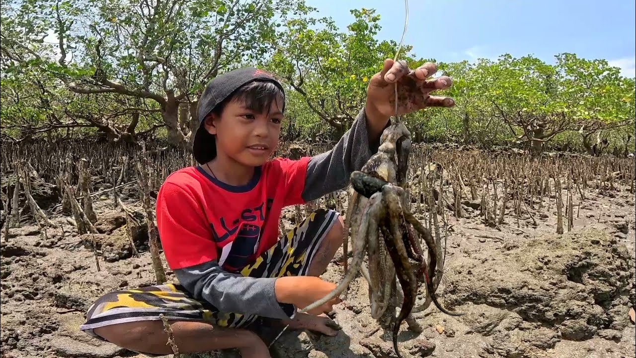 octopus hunting/Panghuhuli Ng mga tamala sa hibasan/octopus season ...