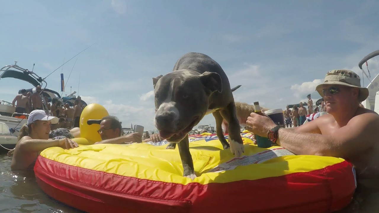 Muscamoot Bay - Lake St Clair - 2017 - YouTube