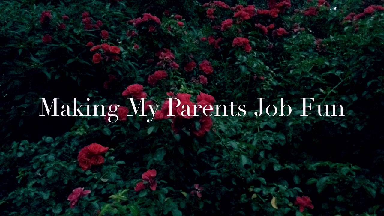 Making My Parents Job Fun - YouTube