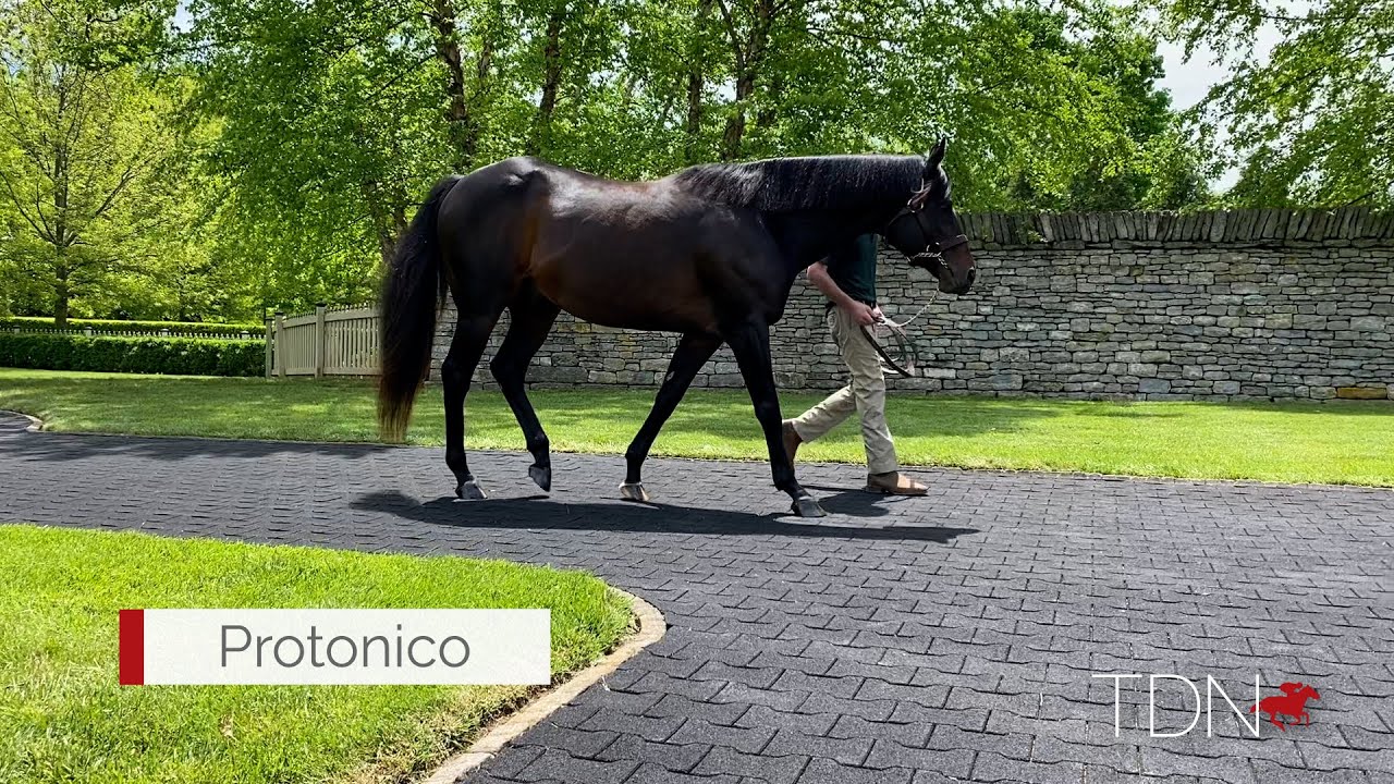 More to Come for Protonico, Sire of Kentucky Derby Winner Medina Spirit ...
