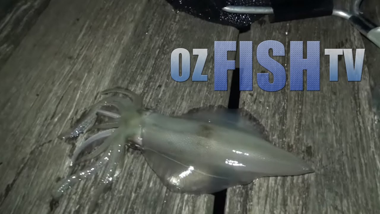 Oz Fish TV Season 2 Episode 4 - Landbased Squid Hop - YouTube