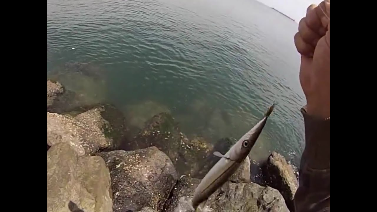 Saltwater: Barracuda Fishing Penn Fierce 2000 & Kastmaster Lures - YouTube