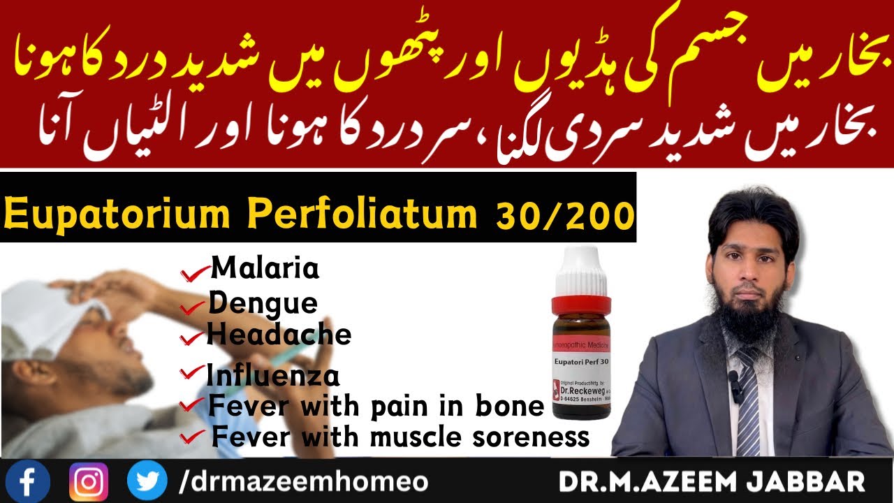 Eupatorium Perfoliatum Homeopathic Medicine 30/200 Uses & Benefits In ...