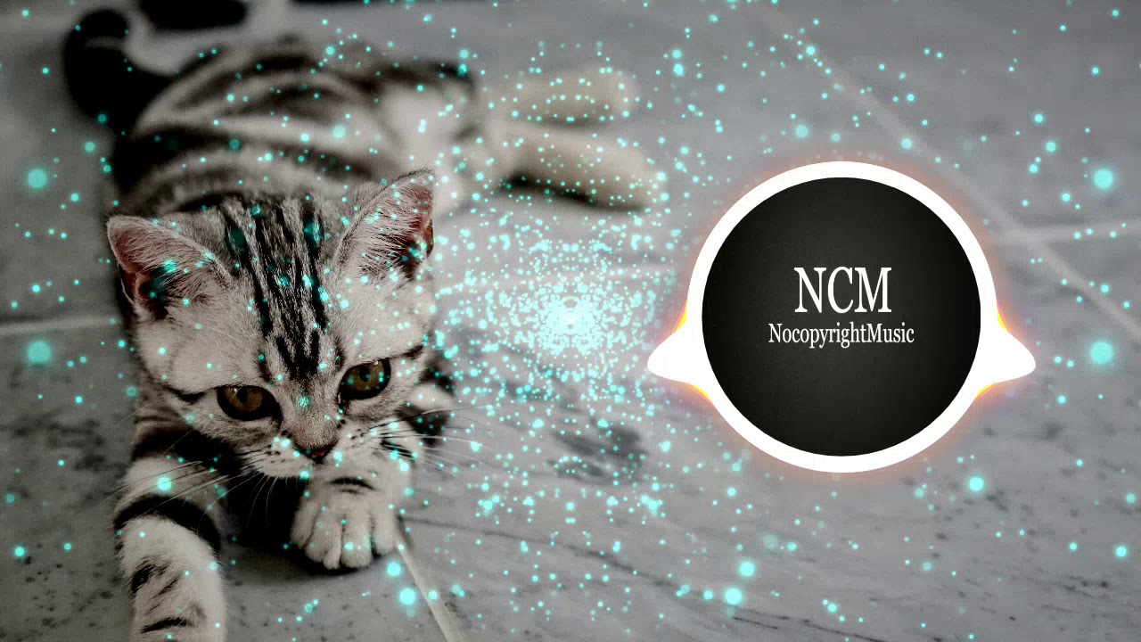 Blue Cat Blues Electro Swing Remix de Flou🎵(No Copyright Music)🎶 - YouTube