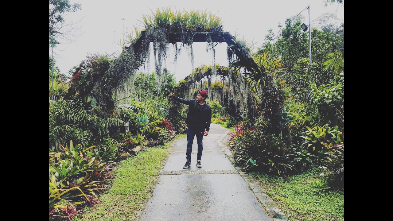 Parque Ecologico la Asuncion Zona 5 Guatemala #SOY502 - YouTube