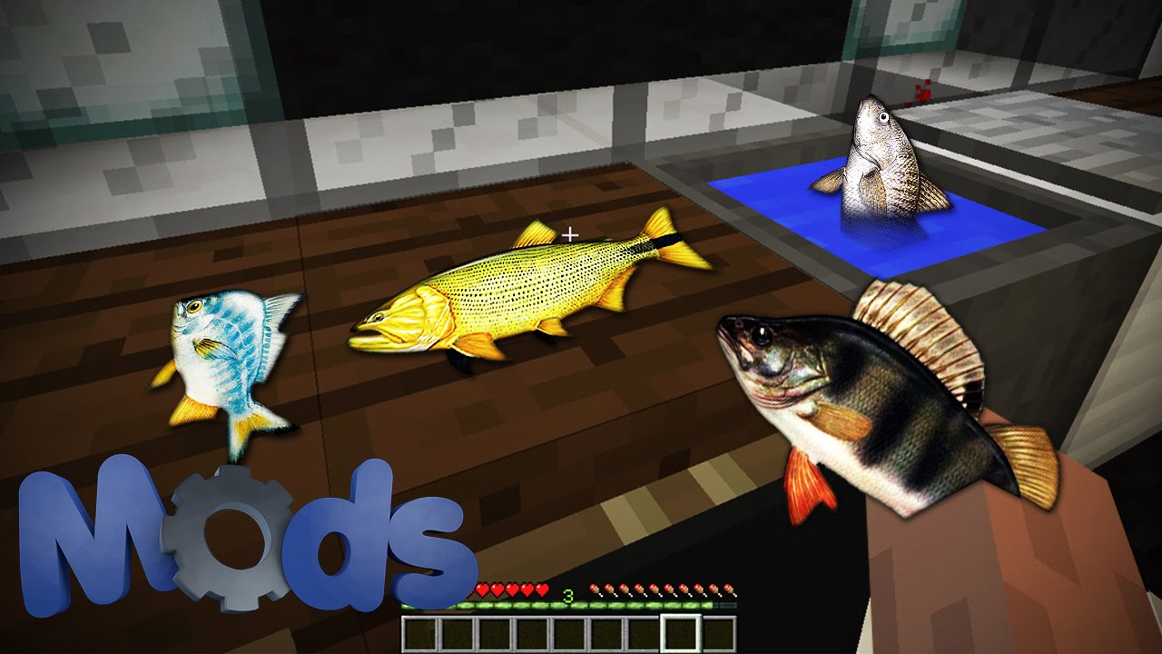 Minecraft Mod: PEIXES DA VIDA REAL NO MINECRAFT?! - YouTube
