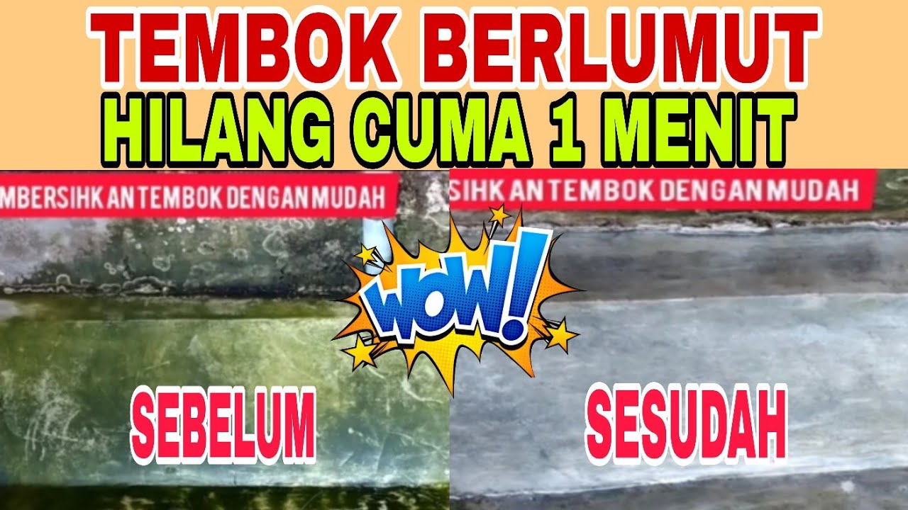 CARA MEMBERSIHKAN TEMBOK DARI LUMUT DENGAN MUDAH DAN CEPAT. - YouTube