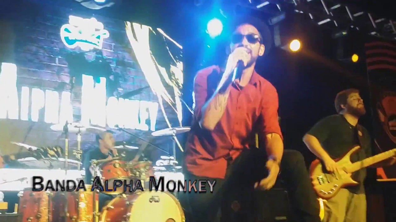BANDA ALPHA MONKEY FICA ENTRE OS 10 MELHORES NO FESTIVAL DA CASA DE ...