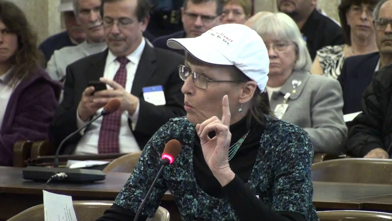 Nora Craig instructs the NJ Senate Committee on the second amendment ...