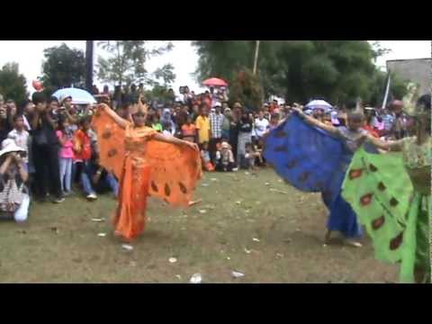 Tari Merak,Seren Taun,Kampung Budaya Sindangbarang,Bogor