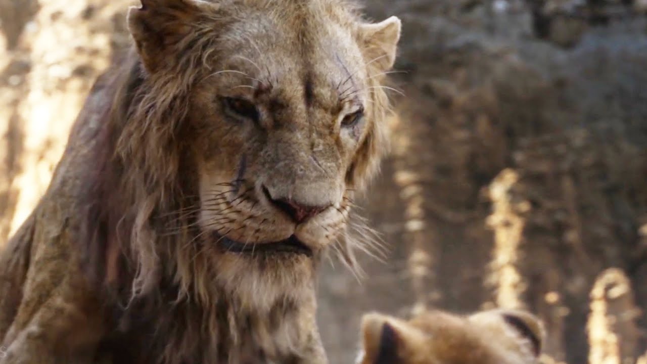 Disney's New 'Lion King' Live-Action Trailer Gives A Glimpse Of Scar ... Disney's New 'Lion King' Live-Action Trailer Gives A Glimpse Of Scar ...
