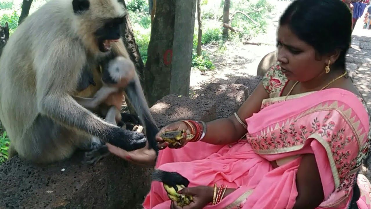 Man Vs Animals !! Love Each Others - YouTube