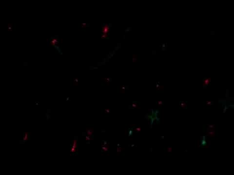 Доттага🌷(çox adamın axtardığı mahnı)🌷Gözəl melodiya