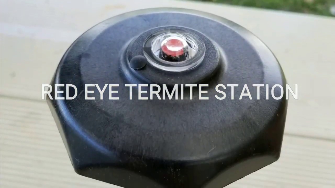 TotallySafe Patented Termite Monitoring Station Device - YouTube