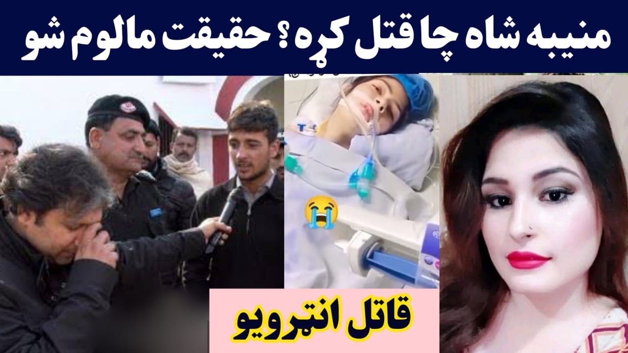 منیبه شاه چا ق.تل کړه حقیقت مالوم شو انټرویو | Muneeba Shah Cha owajala ...