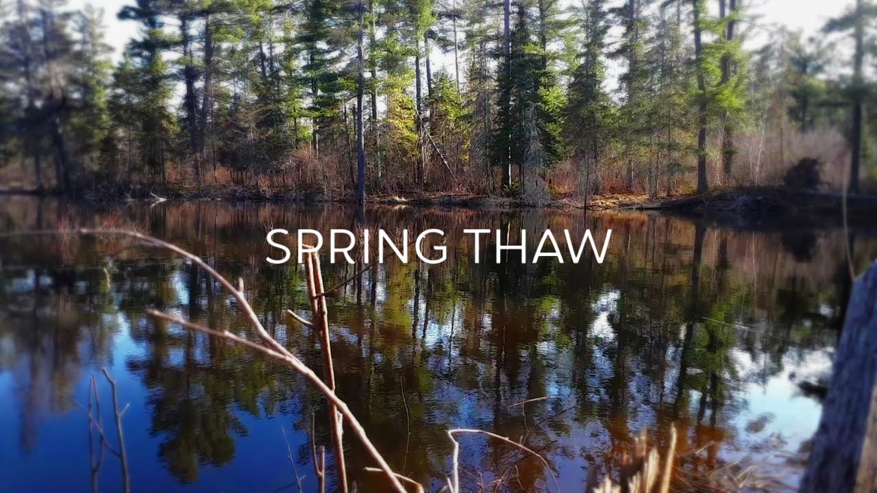Spring Thaw Nature Scenes with DJI Osmo Pocket. - YouTube