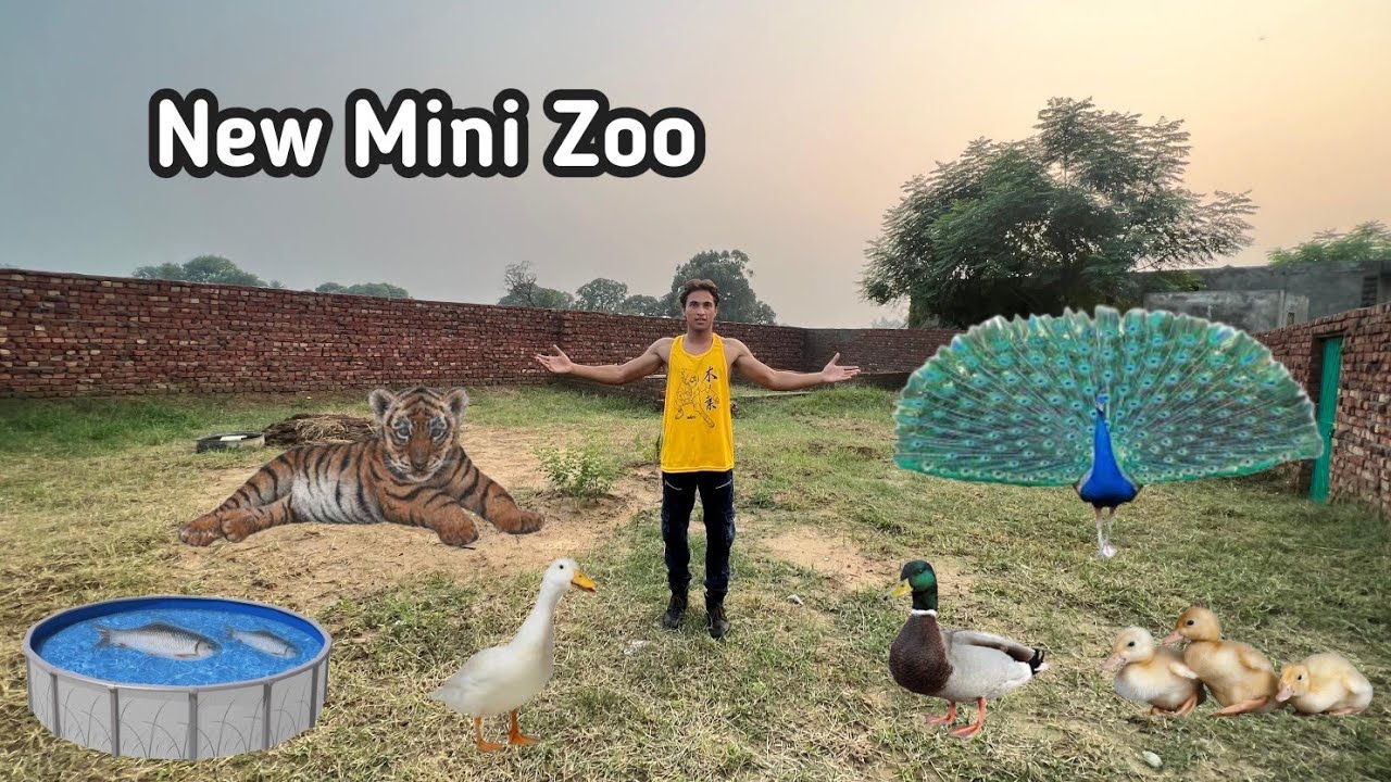 New Mini Zoo Bana Raha Ab 😍 - YouTube