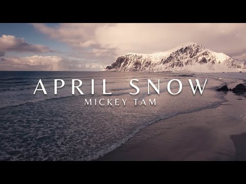 Mickey Tam - April Snow (Official Lyric Video)