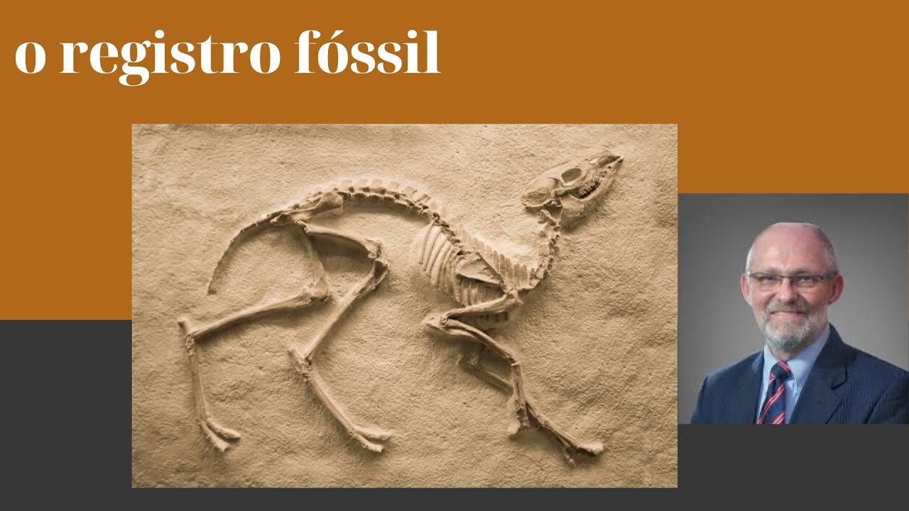 O registro fóssil - The fossil record- Adauto lourenço - YouTube