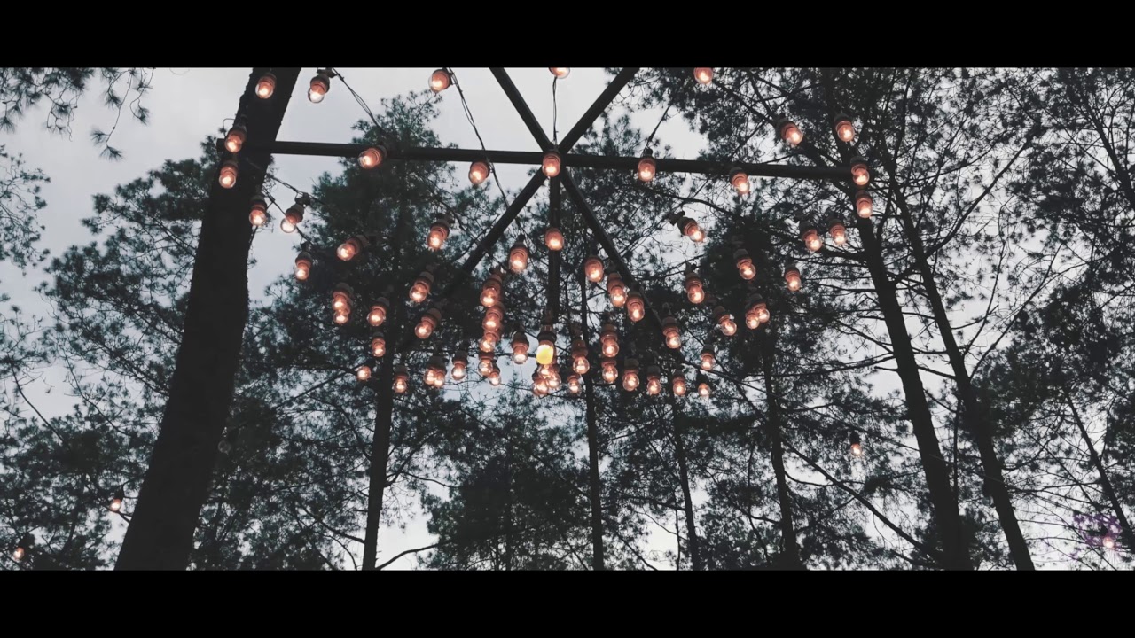 Weird Genius - DPS | Orchid Forest Cinematic Video - YouTube