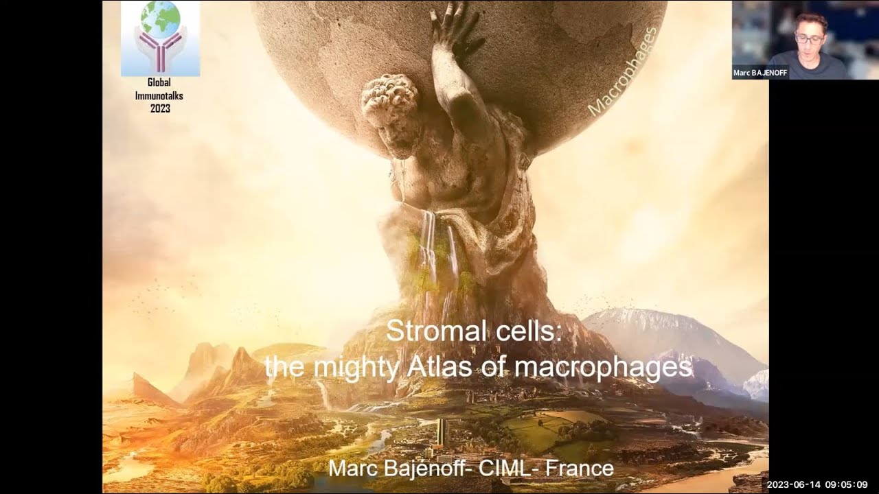 "Stromal cells: the mighty Atlas of macrophages" by Dr. Marc Bajenoff - YouTube