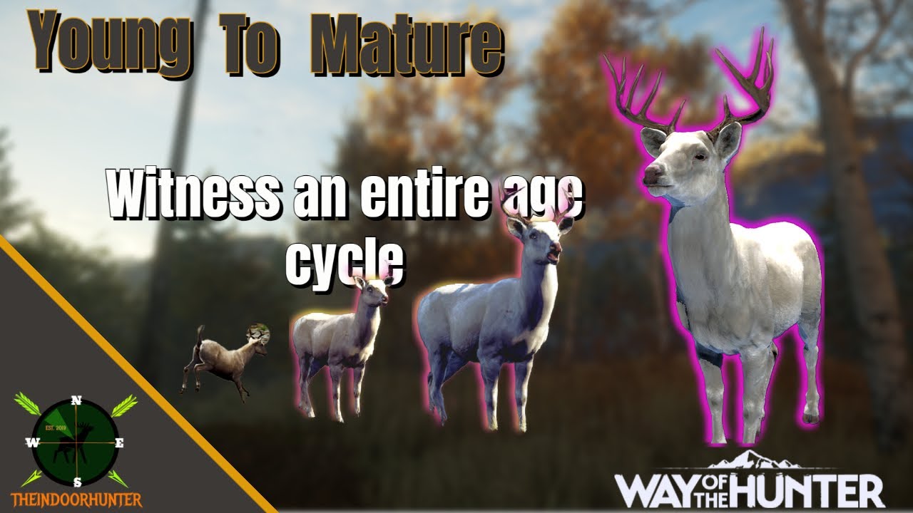 Watching an Albino Grow Young to Mature | Way of The Hunter - YouTube
