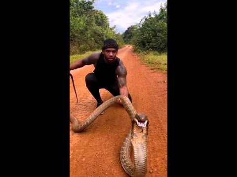 Snake man - YouTube