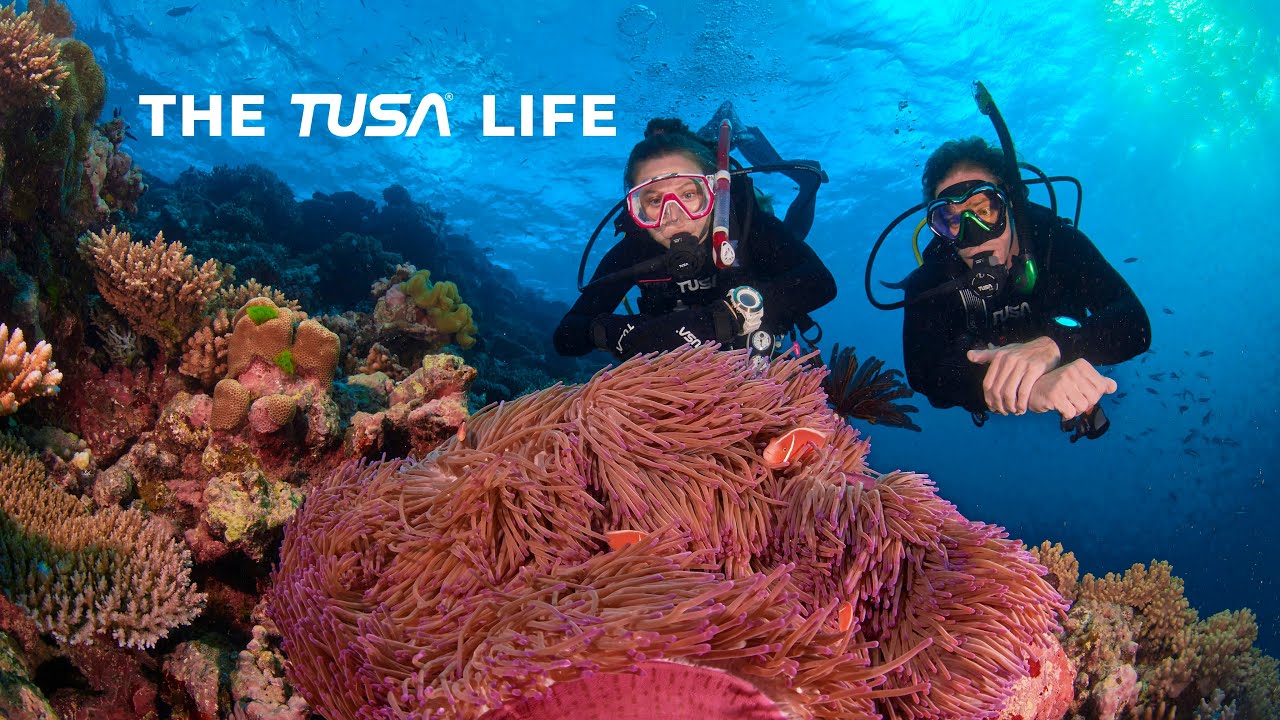 Underwater Moments Scuba Diving The Coral Sea | TUSA Lifestyle - YouTube