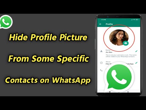 How to Hide Profile Picture From Some Specific Contacts on WhatsApp ...