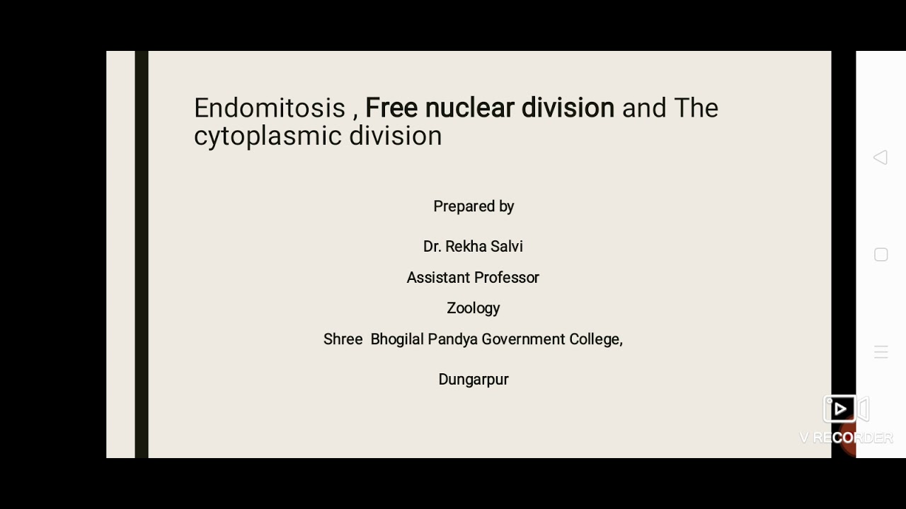 Endomitosis and Free Nuclear division - YouTube
