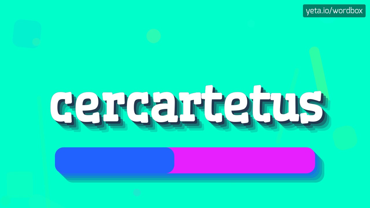 HOW TO SAY CERCARTETUS? #cercartetus - YouTube
