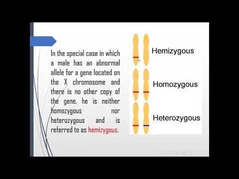 Introduction to genetics, pedigree chart and Mendelian pattern of ...