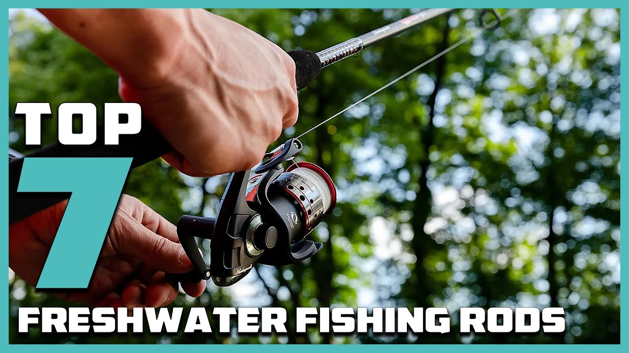 7 Best Freshwater Fishing Rods: Ultimate Guide" - YouTube