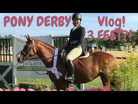 FIRST TIME EVER PONY DERBY? || 3 Chestnuts and a Bay - YouTube