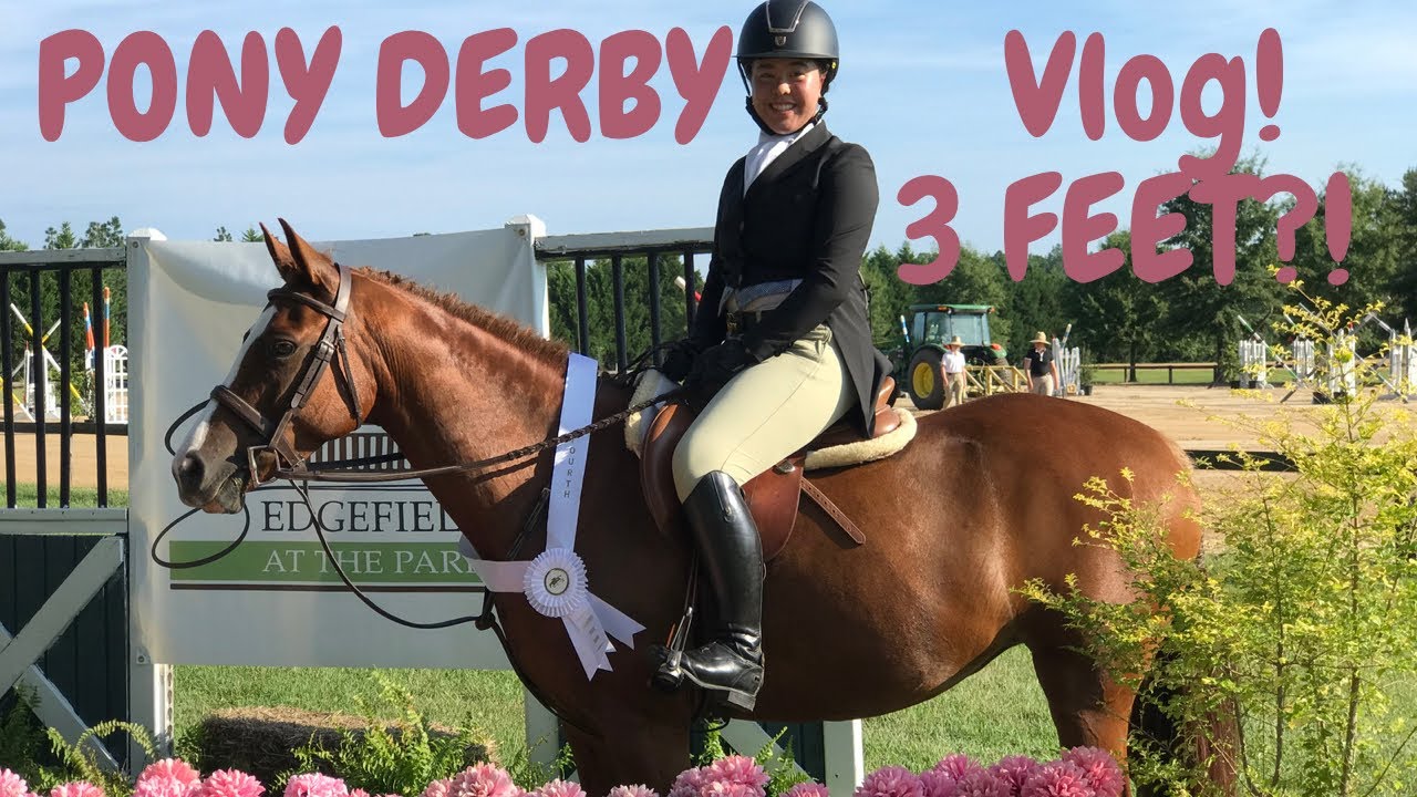 FIRST TIME EVER PONY DERBY? || 3 Chestnuts and a Bay - YouTube