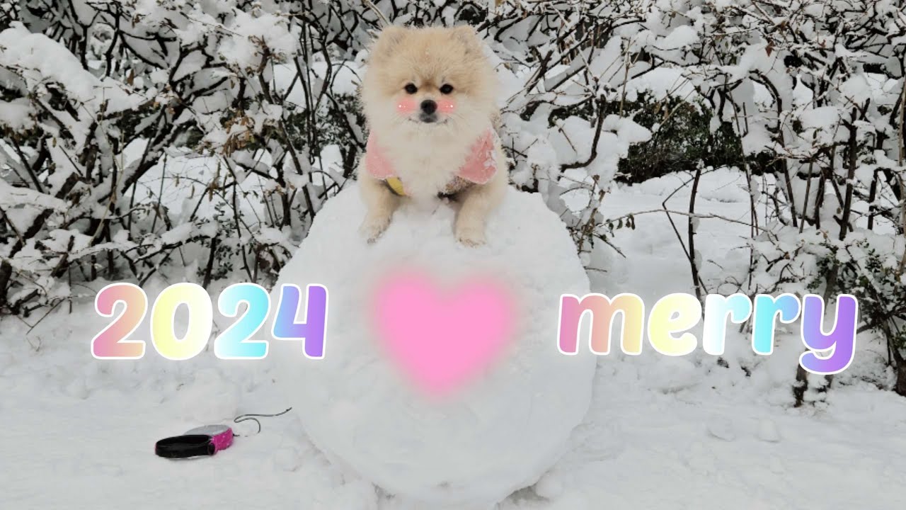 나랑 눈댕댕이 만들지 않을래? do you want to build a snowdog - YouTube