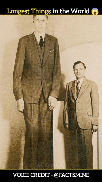 Longest Things In The World 😱 पहली बार देखोगे ये #shorts #facts - YouTube