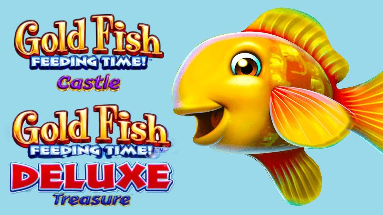 Big Wins Galore on Gold Fish Feeding Time - YouTube
