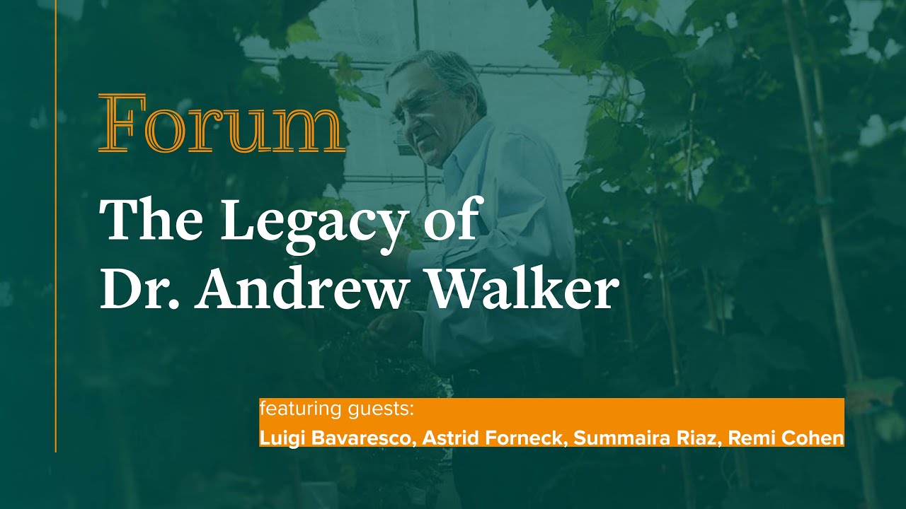 The Legacy of Dr. Andrew Walker - YouTube