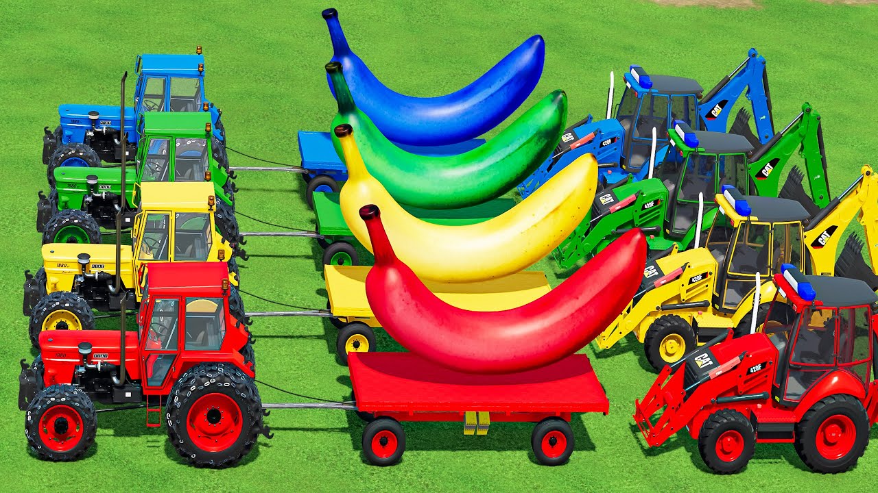 TRACTOR OF COLORS! TRANSPORT FIAT with CHAIN WHEELS TRACTORS & BANANA ...