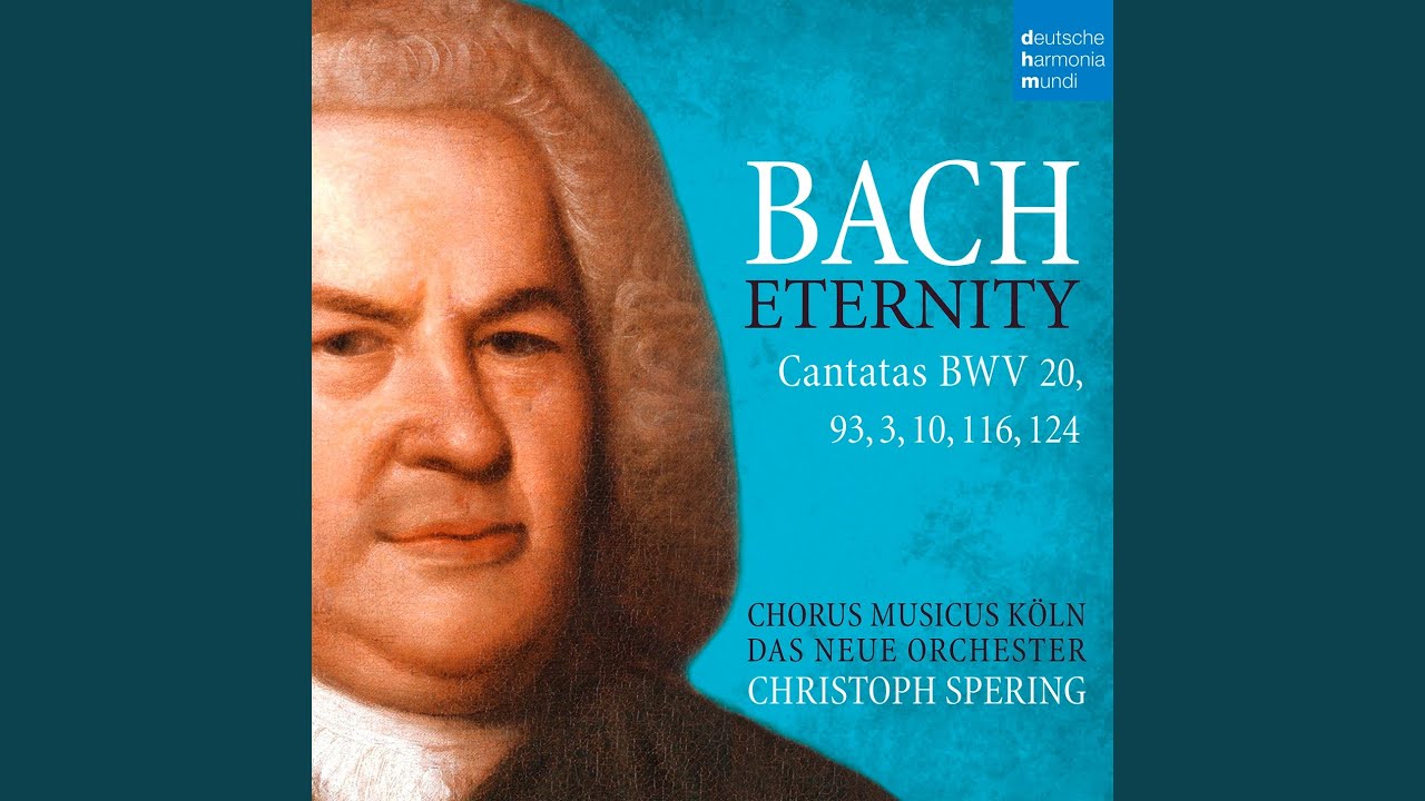 Meine Seel erhebt den Herren, BWV 10: II. Herr, der du stark und ...