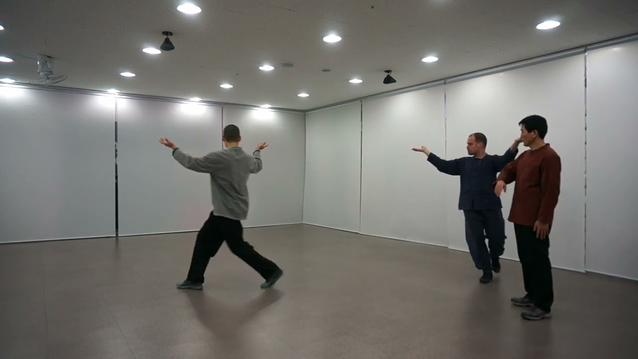 正勢八掌, Eight Foundational Palms : The 2nd Palm(2) - YouTube