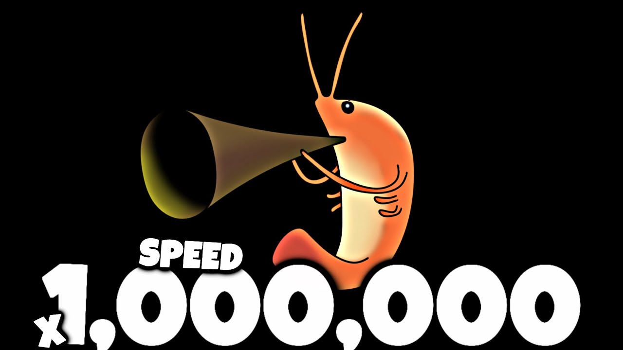 shrimp duet SPEED 1000000X - YouTube