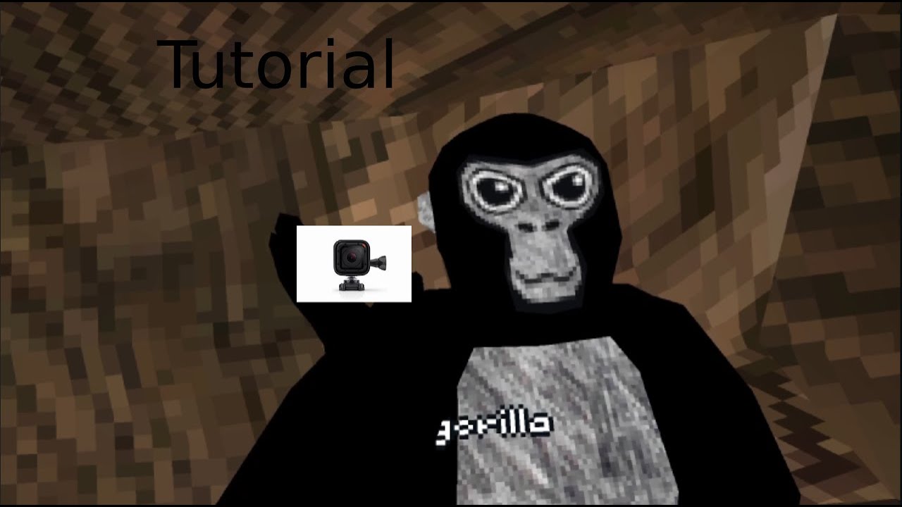 How to get Wrysers gopro mod - YouTube