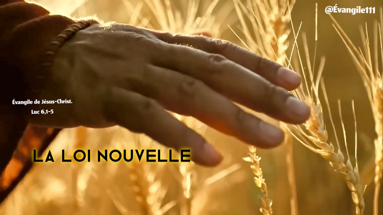 Évangile de Jésus Christ - Luc 6, 1-5 la loi nouvelle - YouTube