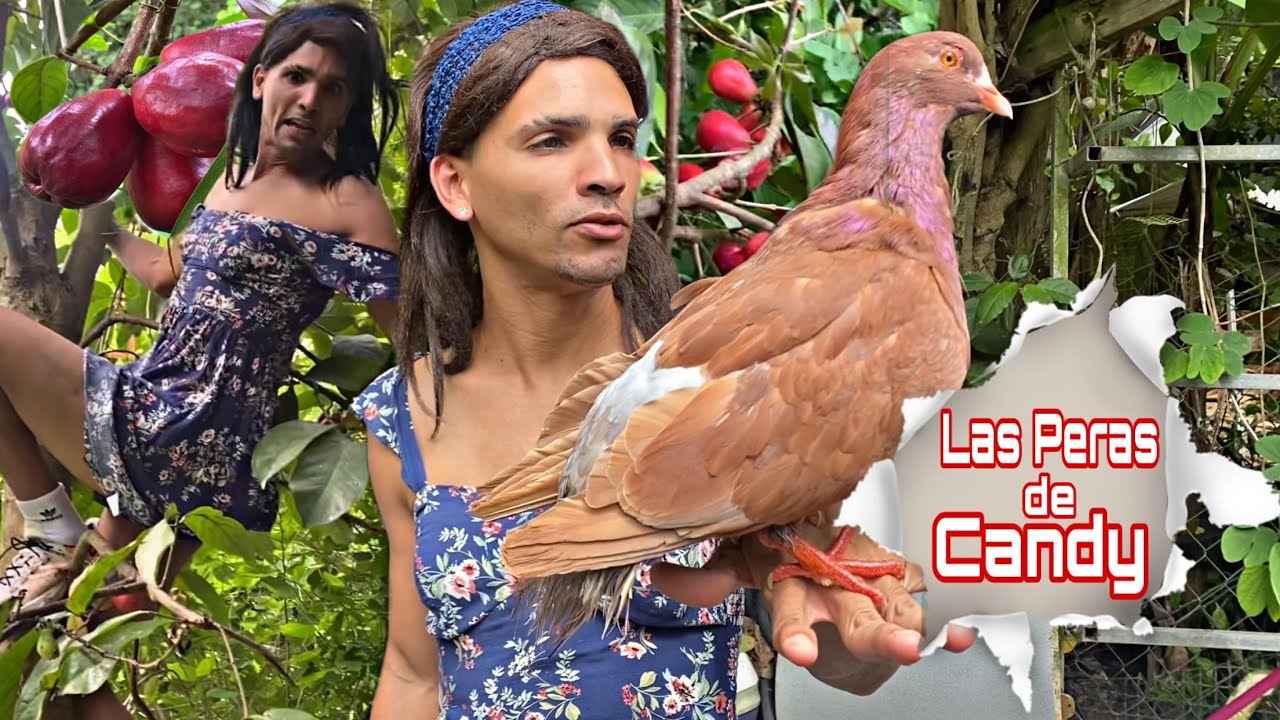 Cady se trepa en un Palo de Peras Marayas😋 - YouTube