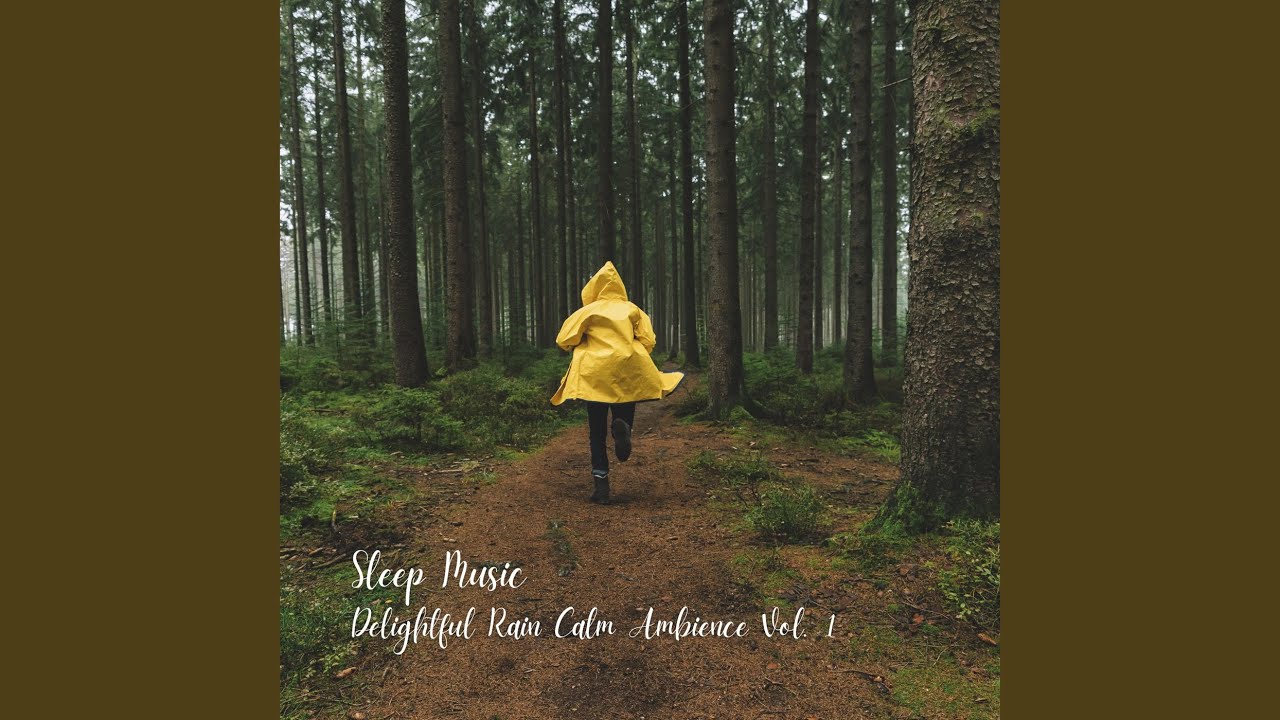 Rain Gutter - YouTube Music