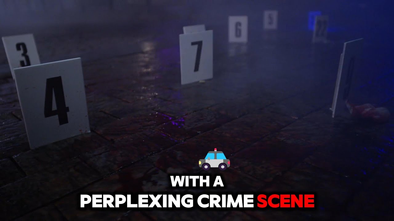 The Mystery Disappearance of Sabrina Aisenberg A Chilling Tale of ...