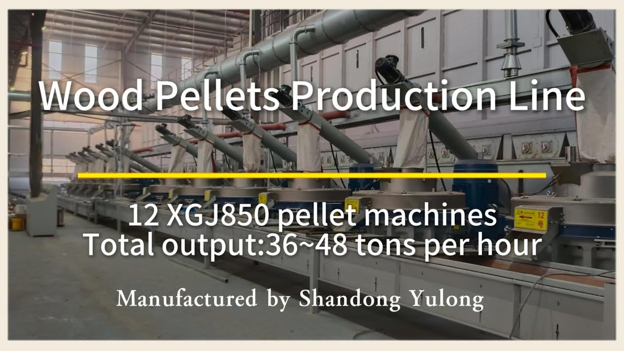 Redwood and pine pellet production lines with a capacity of 36-48 tons ...