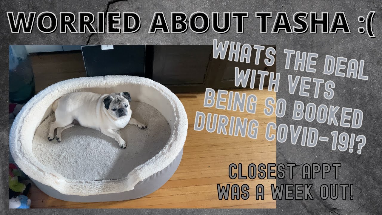 We Were Worried About Tasha! :( Vlog #84 - YouTube